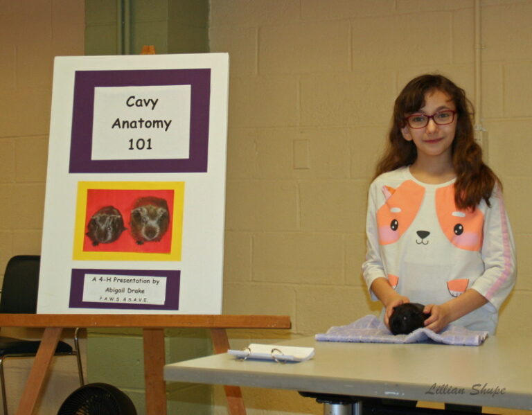 4-H Youth Development – RCE of Hunterdon County
